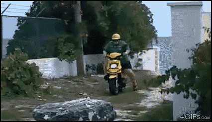 Faceplant GIF - Find on GIFER