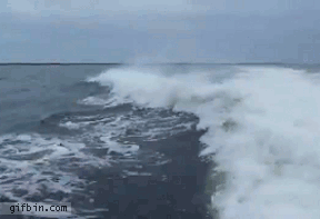 GIF woops - animated GIF on GIFER
