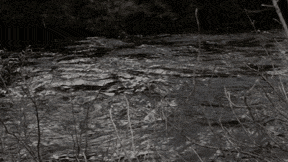 Pfw GIF - Find on GIFER