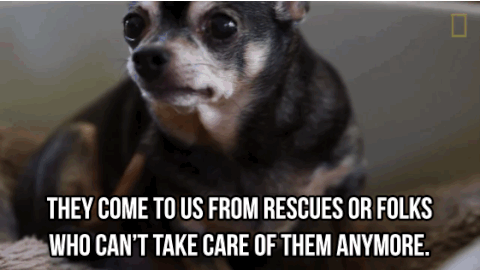 Take shelter GIF - Find on GIFER