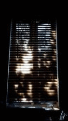 Shadow window blinds GIF - Find on GIFER