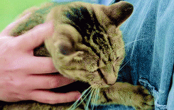 Lni my morning jacket GIF - Find on GIFER