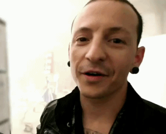 Chester GIF - Find on GIFER