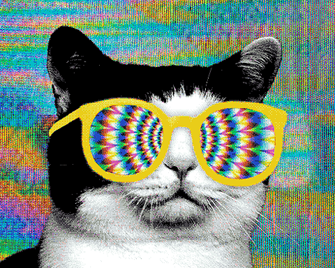 Glasses GIF - Find on GIFER