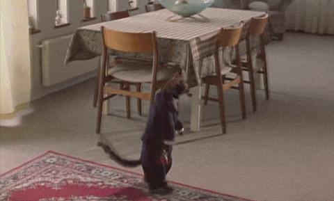 105 GIF - Find on GIFER