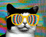 Wot GIF - Find on GIFER
