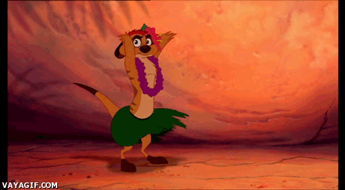 Timon GIF - Find on GIFER