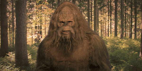 Sasquatch bigfoot jack links GIF - Find on GIFER