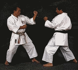 Karate Chop Gifs Find Share On Giphy