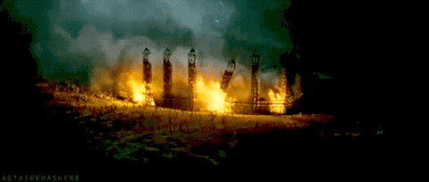Quidditch GIF - Find on GIFER