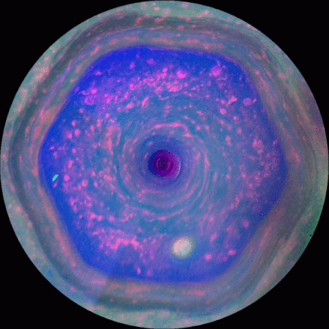 Vortex GIF - Find on GIFER