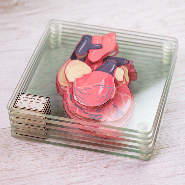 Anatomy GIF - Find on GIFER