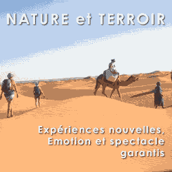 Et GIF - Find on GIFER