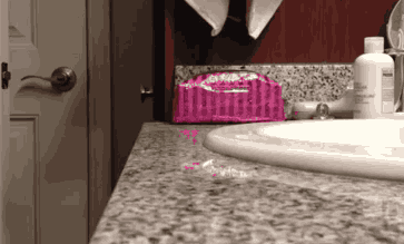 Cat genius GIF - Find on GIFER