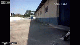 Pro GIF - Find on GIFER