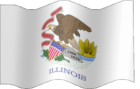 Illinois GIF - Find on GIFER