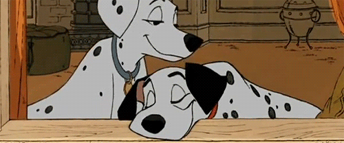 Pongo GIF - Find on GIFER