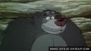 GIF baloo - animated GIF on GIFER
