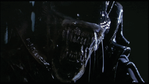 Jhene aiko chiemseesummer colts blue GIF - Find on GIFER