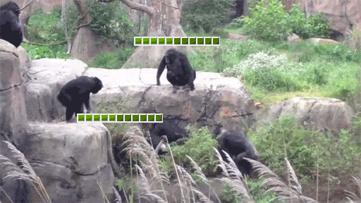 Misc GIF - Find on GIFER