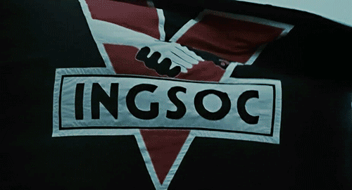 GIF penguin n1 oceania minha reaçao quando - GIF animado em GIFER
