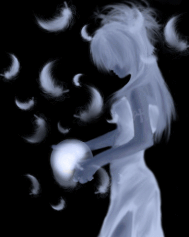 GIF feathers - animated GIF on GIFER