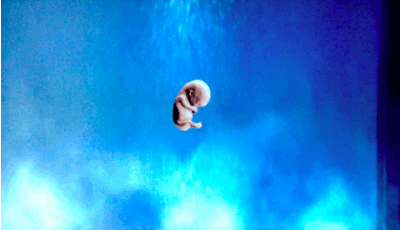 Floating baby reblog GIF - Find on GIFER