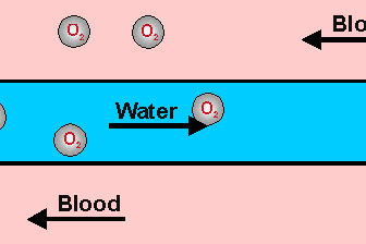 Oxygen GIF - Find on GIFER