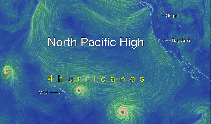 Events meteorologist GIF - Find on GIFER
