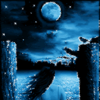GIF moonlight - animated GIF on GIFER
