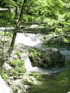 River water nature GIF - Find on GIFER