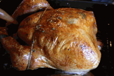 Turkey time GIF - Find on GIFER