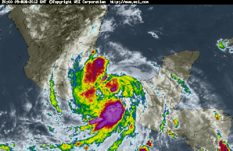 GIF tropical - animated GIF on GIFER