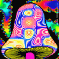 Shrooms GIF - Find on GIFER