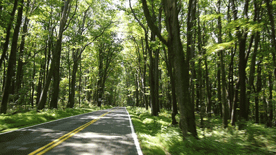 Travel GIF - Find on GIFER