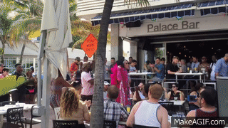Miami GIF - Find on GIFER