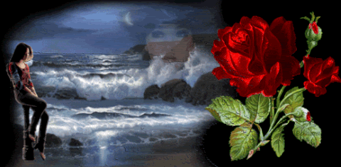 306 GIF - Find on GIFER