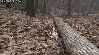 Science nature GIF - Find on GIFER