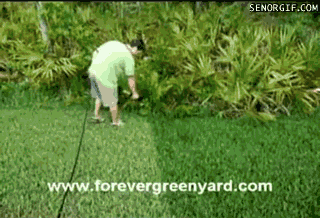 GIF paint grass greener - animated GIF on GIFER