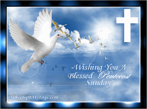 Blessed GIF - Find on GIFER