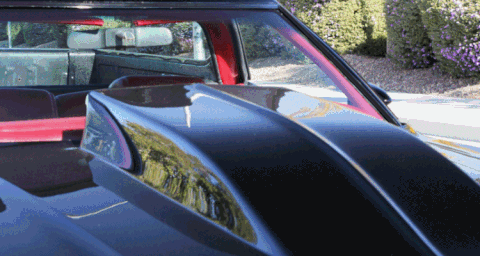 Cult classics GIF - Find on GIFER