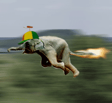 Elephant GIF on GIFER - by Ariuwyn