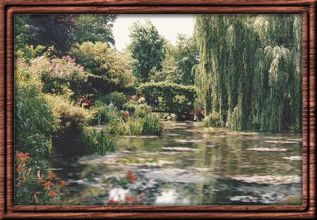 Mfs GIF - Find on GIFER