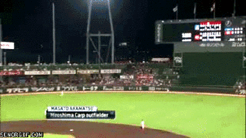 GIF wtf japan - animated GIF on GIFER