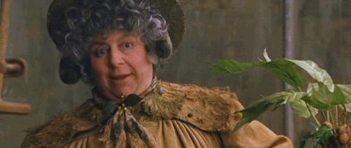 Hufflepuff GIF - Find on GIFER