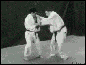 Karate GIF - Find on GIFER