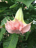 Geocities GIF - Find on GIFER