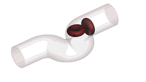 S GIF - Find on GIFER