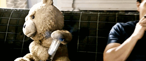 Ted ted 2 socialphy GIF - Find on GIFER