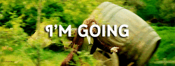 Hobbit GIF - Find on GIFER